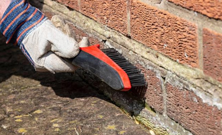 The Importance of Professional Brick Cleaning Services in Sydney ...